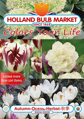 Holland Bulb Market